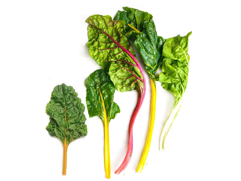 O MANGOLDU – Minimalistická kuchařka